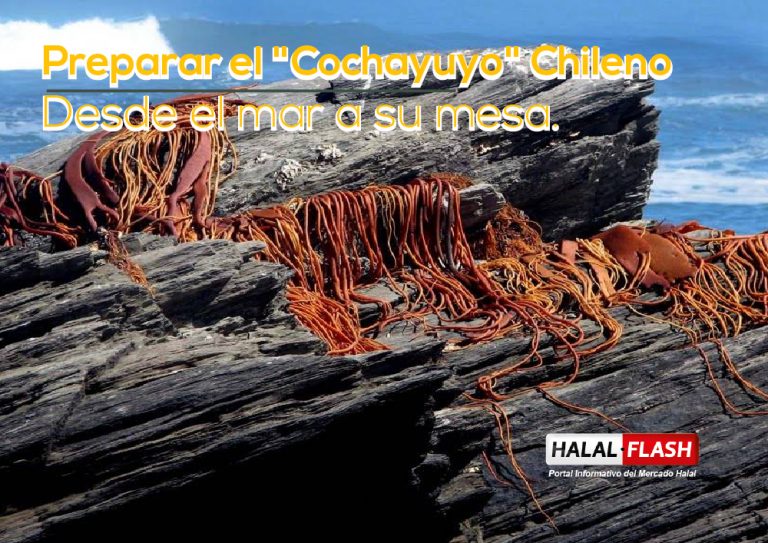 Preparar el “Cochayuyo” Chileno, desde el mar a su mesa. – EL HALAL A ...