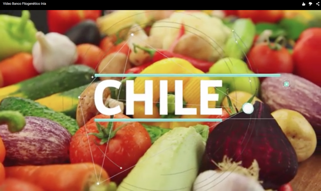 Conociendo INIA CHILE – EL HALAL A SU ALCANCE